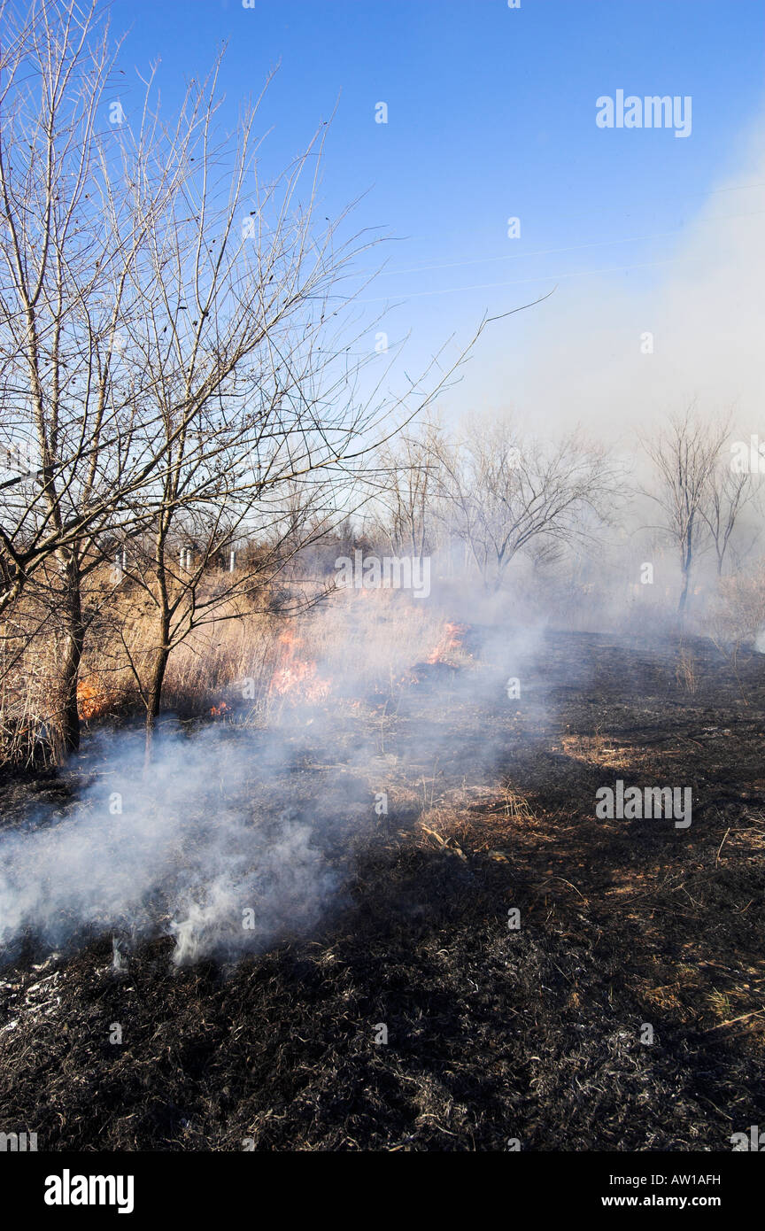 A grass fire burning through dry grass Stock Photo - Alamy
