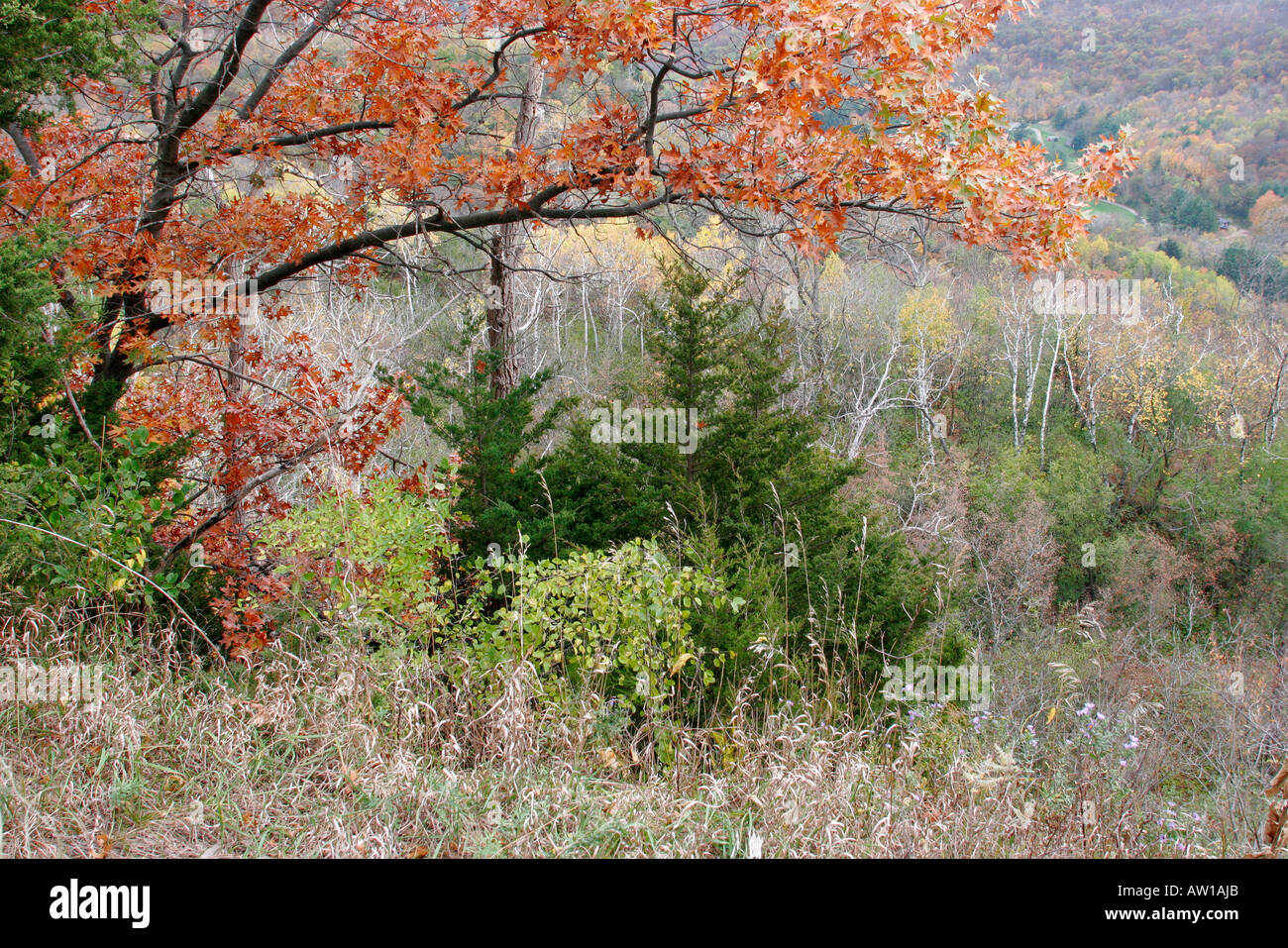 Granddad bluff park hi-res stock photography and images - Alamy