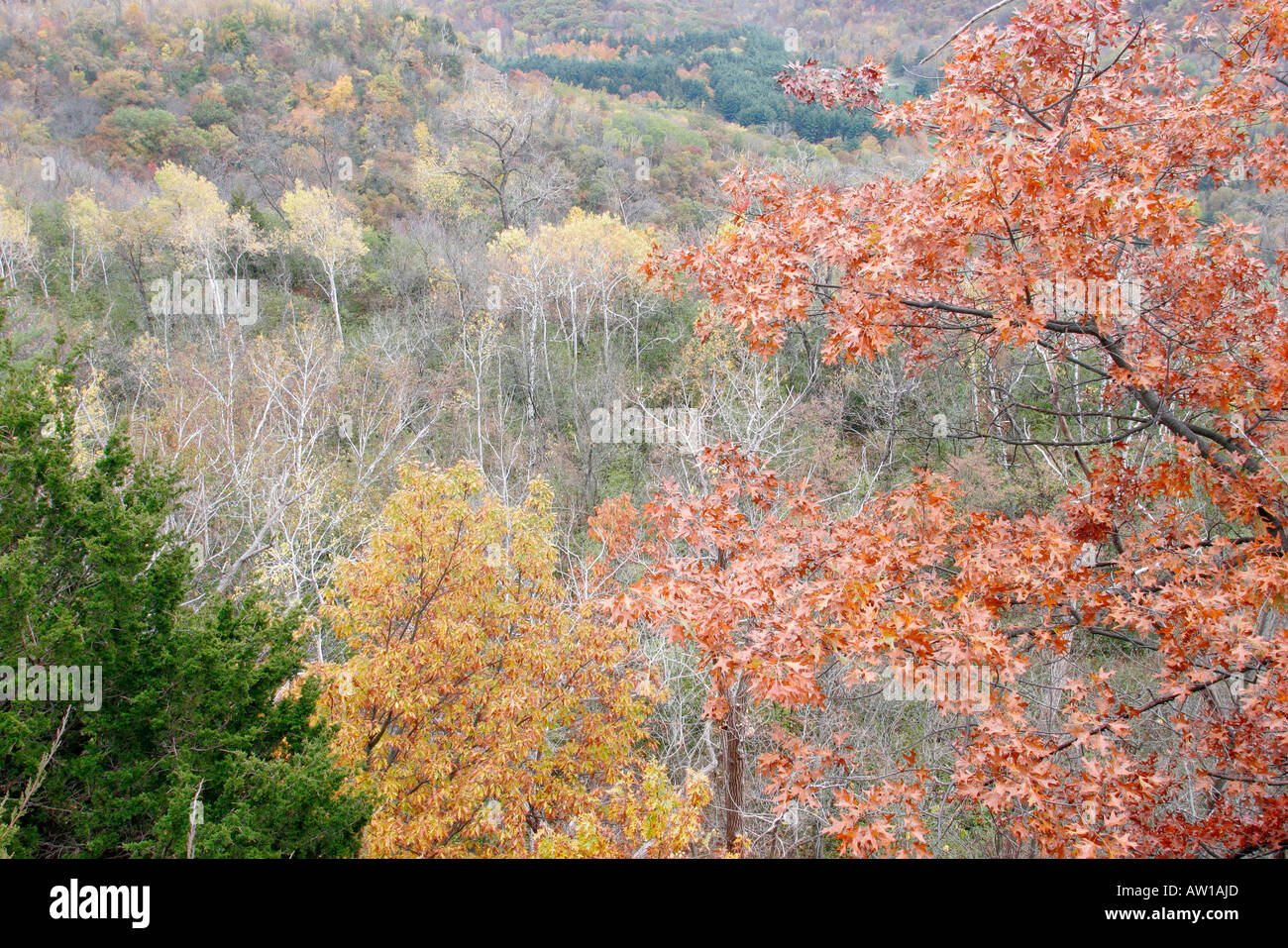 Granddad bluff park hi-res stock photography and images - Alamy