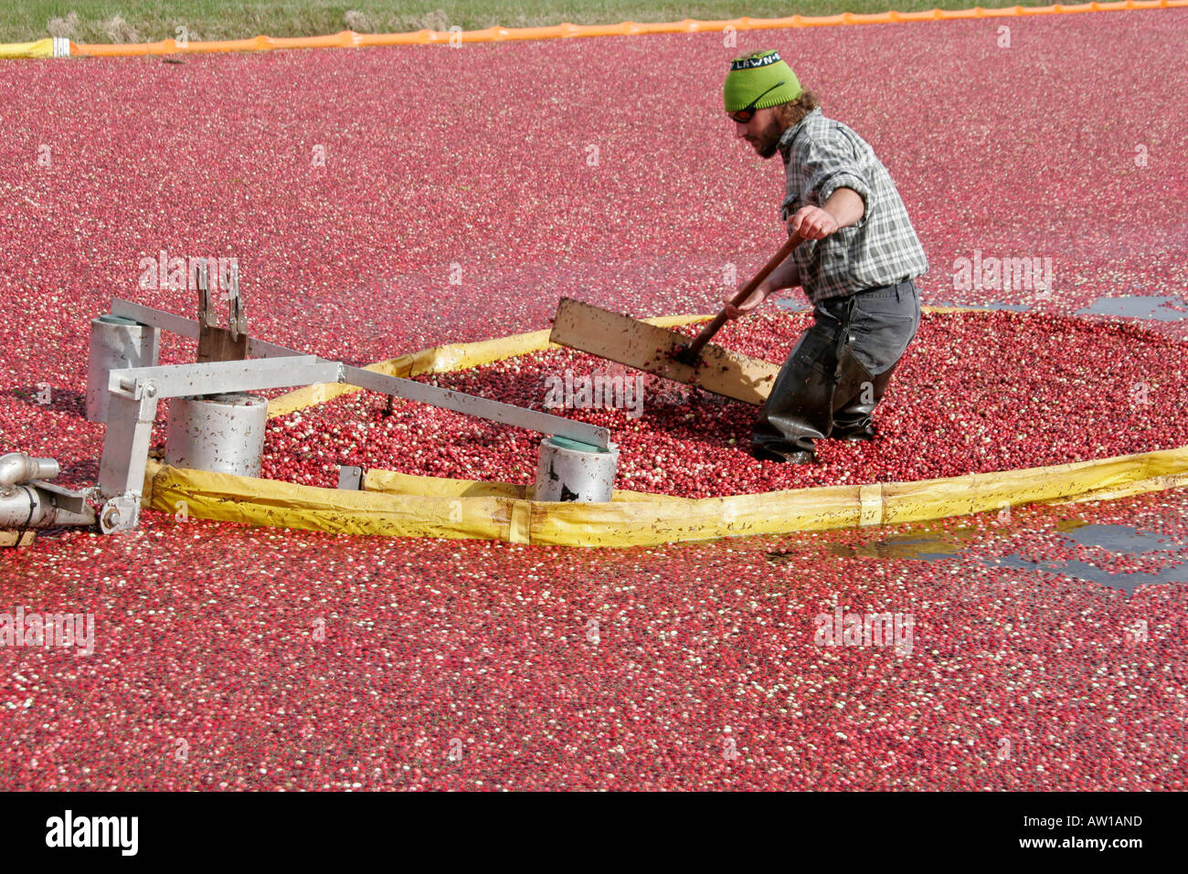 Wisconsin,WI,Upper Midwest,Wood County,highway Route 173,Cranmoor ...