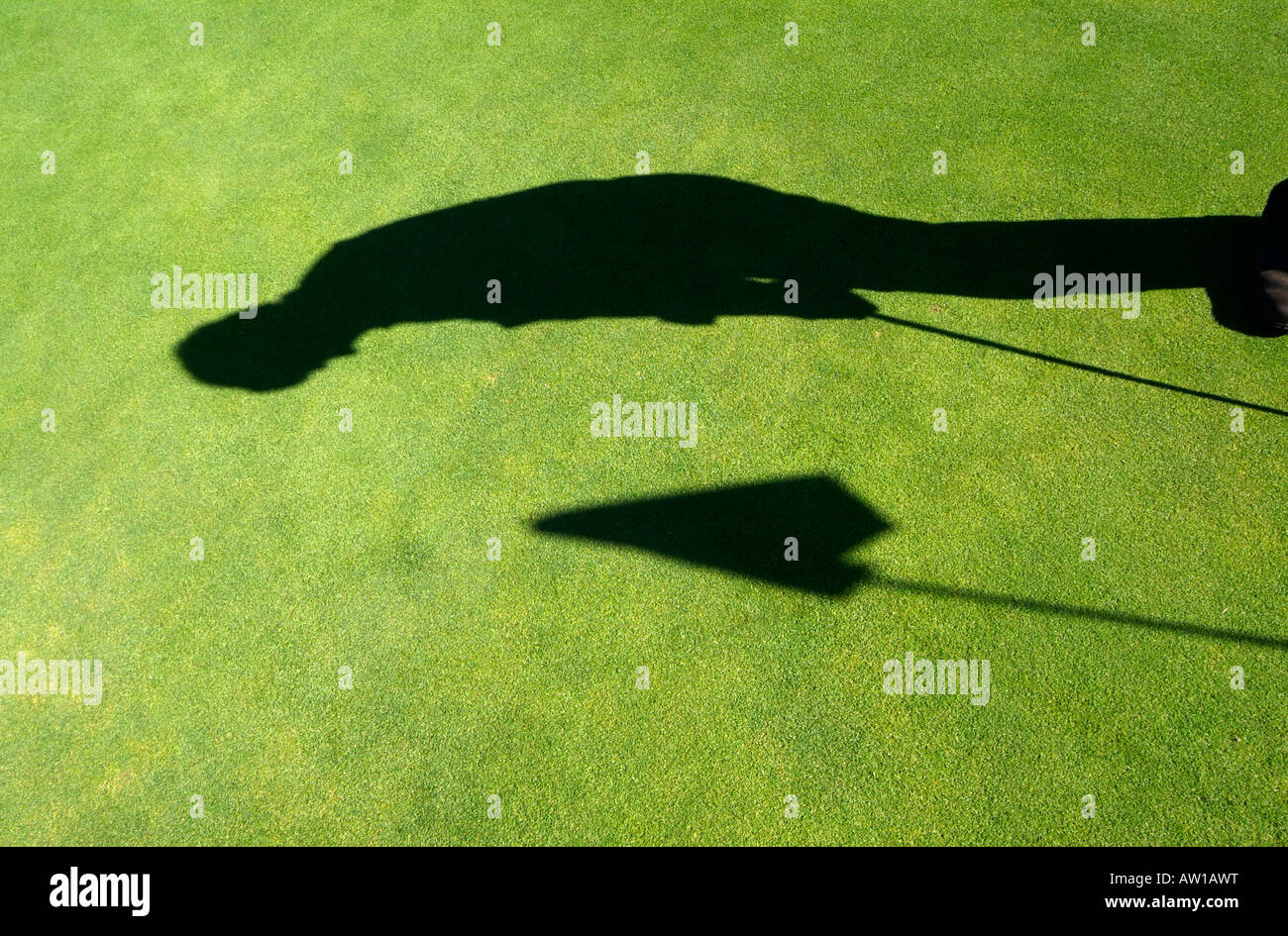 Golfer putting shadows photo by Bruce Miller Stock Photo - Alamy