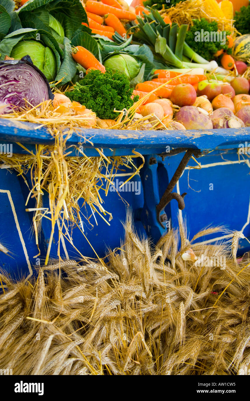 Vegetables and corn on blue farm cart JMH1948 Stock Photo - Alamy
