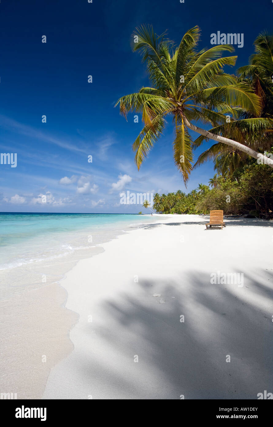 Maldives exotic beach and palm tree under blue sky Stock Photo - Alamy