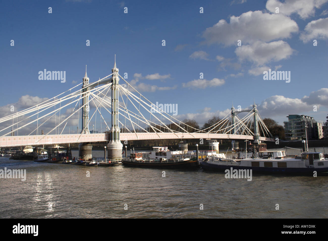 The albert bridge london hi-res stock photography and images - Alamy
