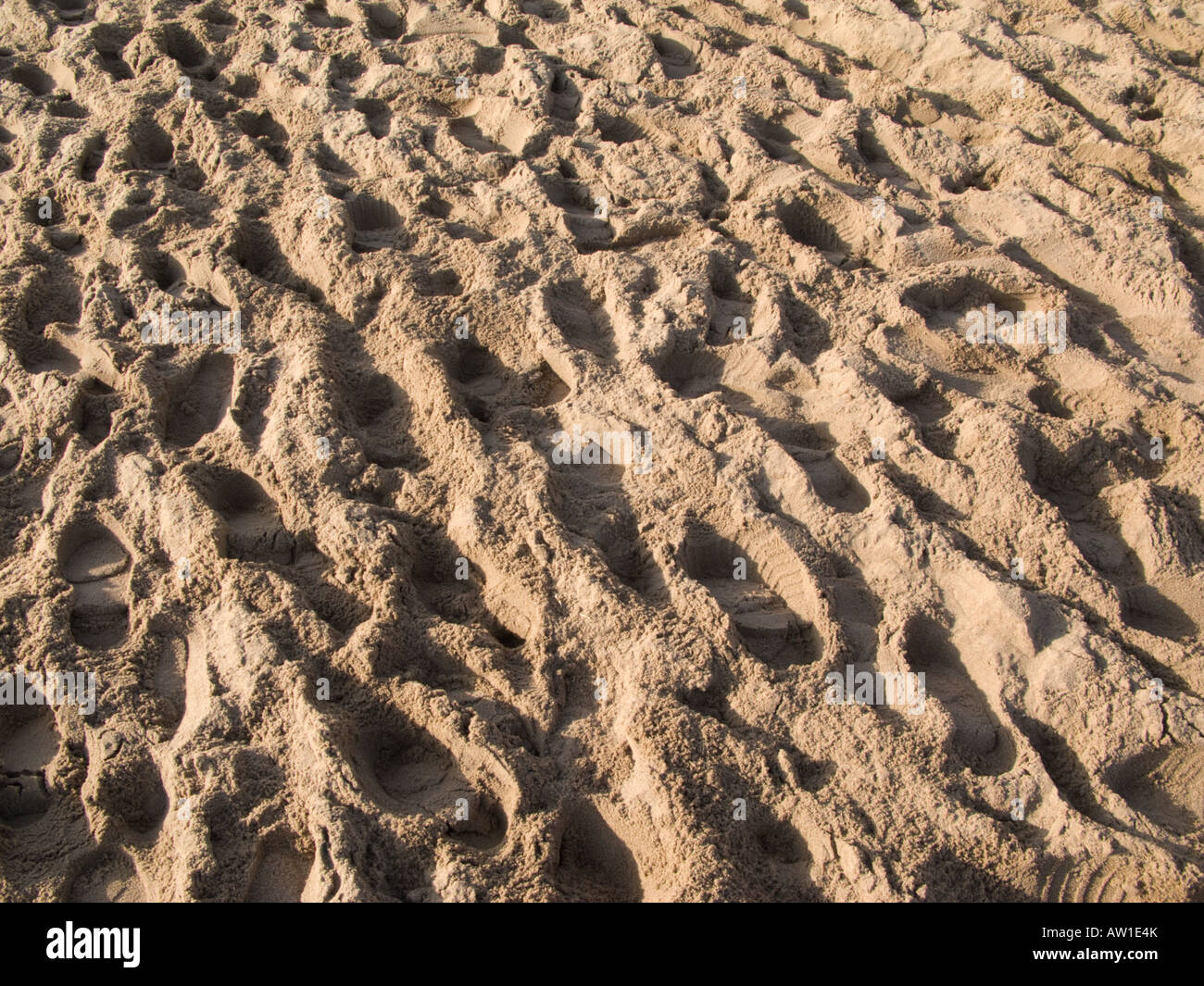 Footsteps in the sand Stock Photo - Alamy