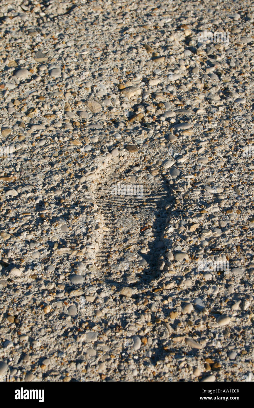 footprint in mud Stock Photo - Alamy