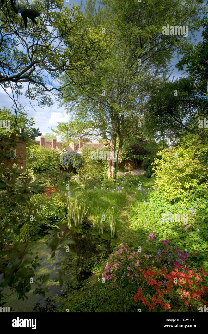 Mature tree planting uk hi-res stock photography and images - Alamy