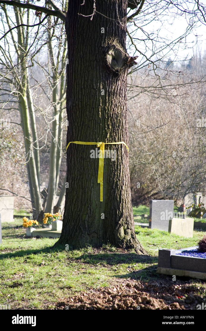 The yellow ribbon hi-res stock photography and images - Alamy