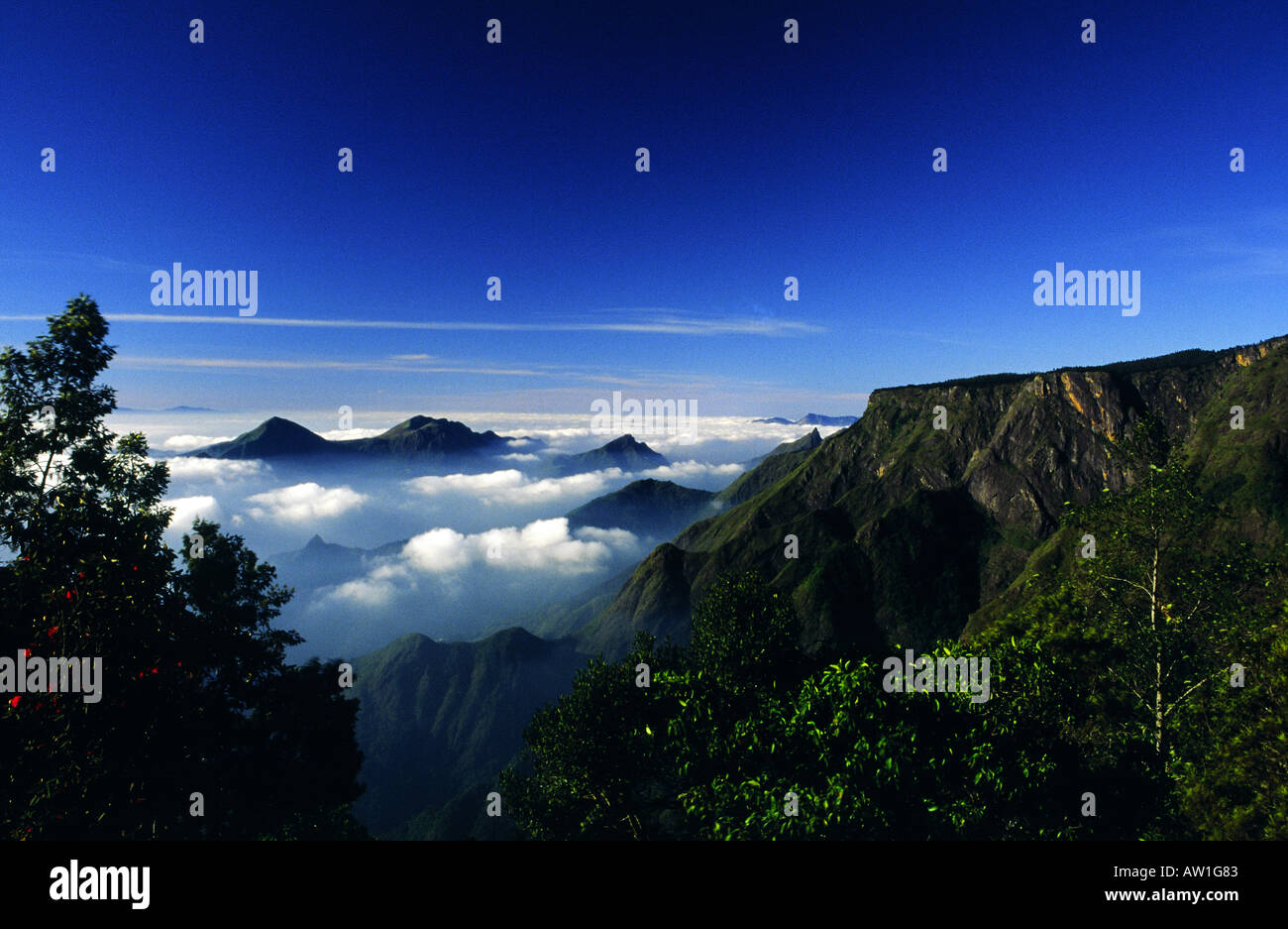 High view from Pillar Rocks valley towards Dolphin s Nose rock ...