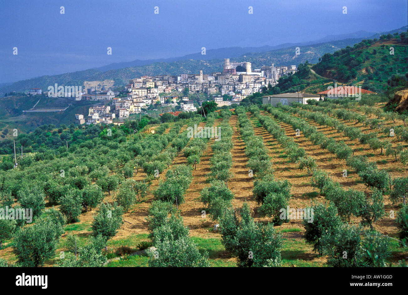 Corigliano calabro hi-res stock photography and images - Alamy