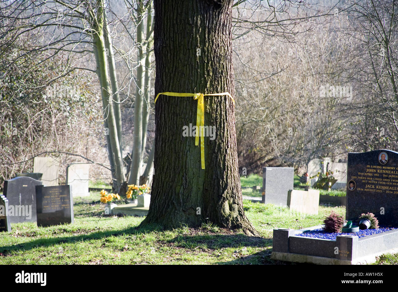 The yellow ribbon hi-res stock photography and images - Alamy