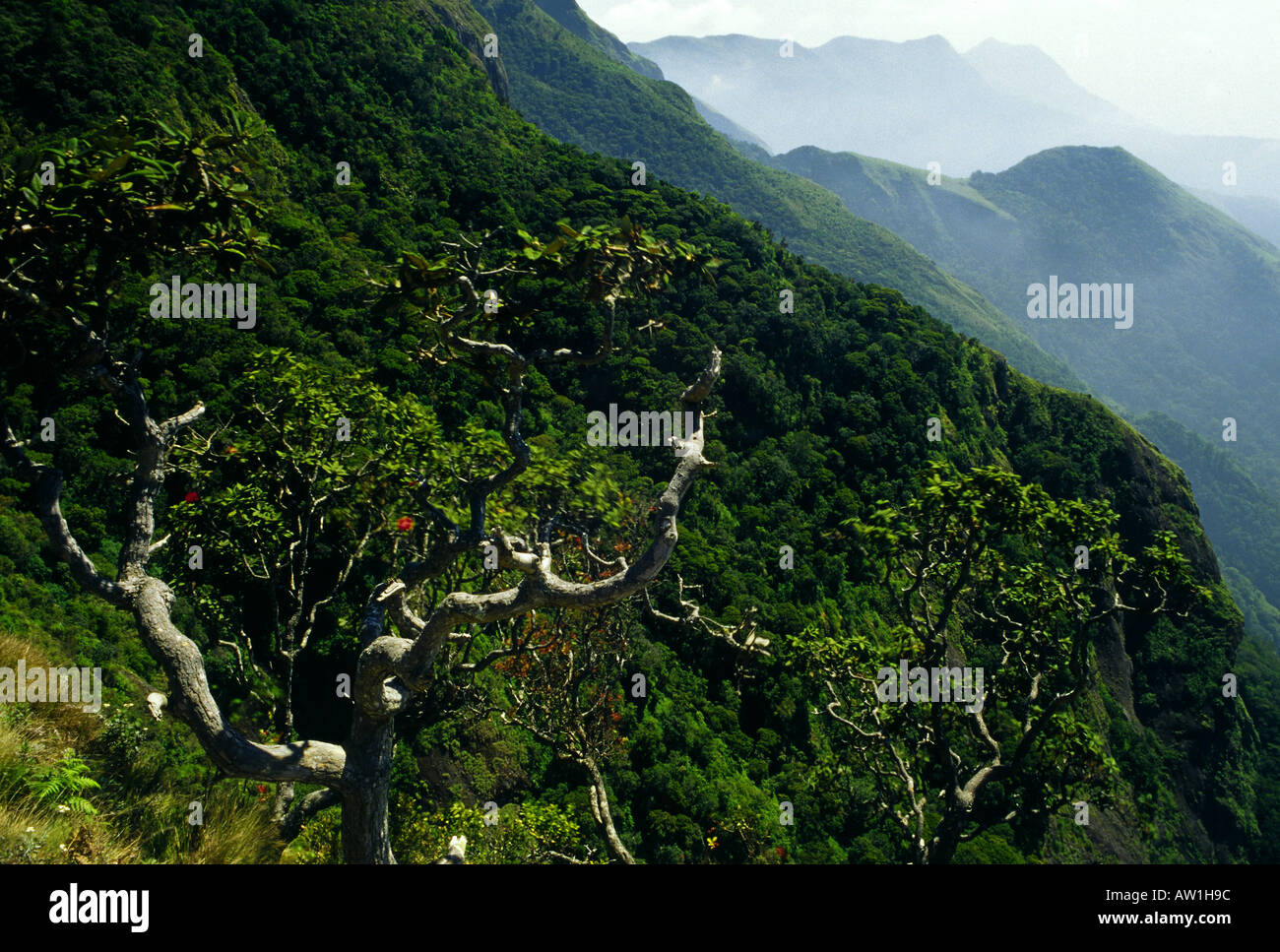 Kodaikanal hill station hi-res stock photography and images - Alamy