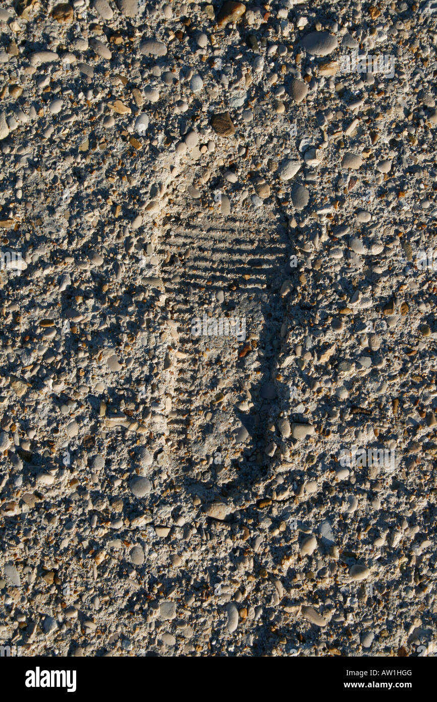 footprint in mud Stock Photo - Alamy