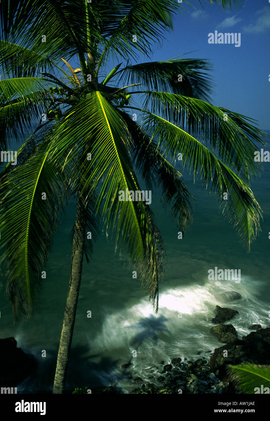 Varkala beach coast line in the State of Kerala South India Stock Photo ...