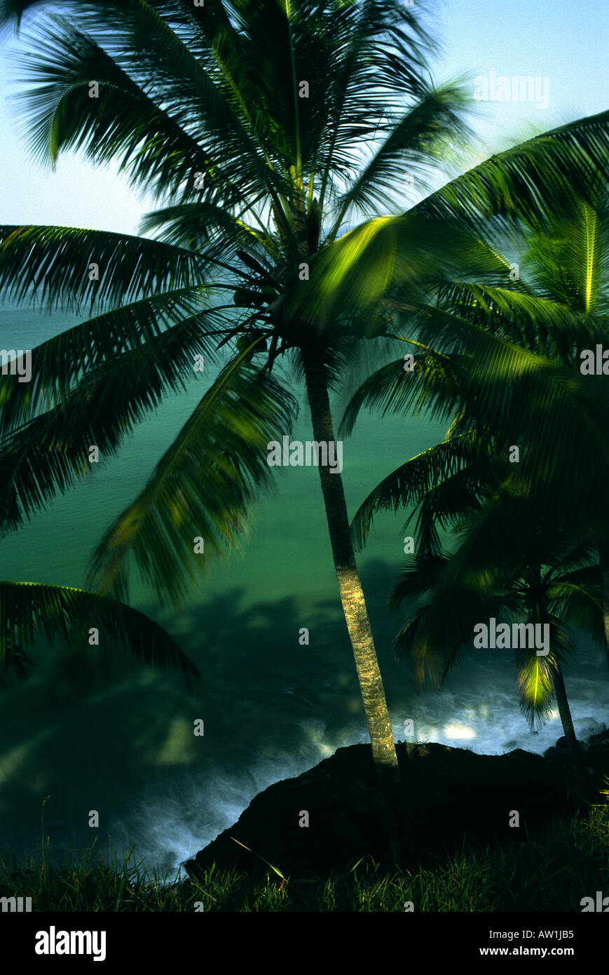 Varkala beach coast line in the State of Kerala South India Stock Photo ...