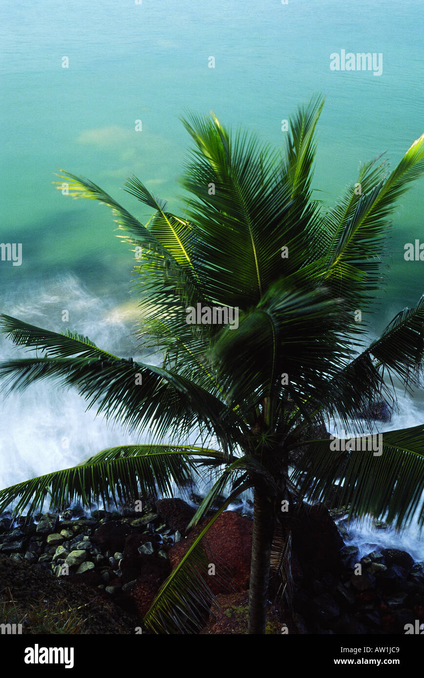 Varkala beach coast line in the State of Kerala South India Stock Photo ...