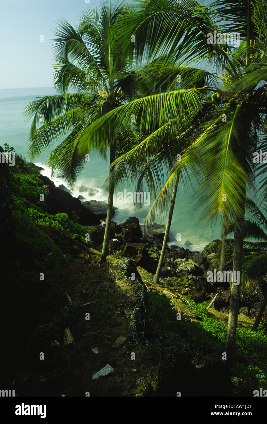 Varkala beach coast line in the State of Kerala South India Stock Photo ...