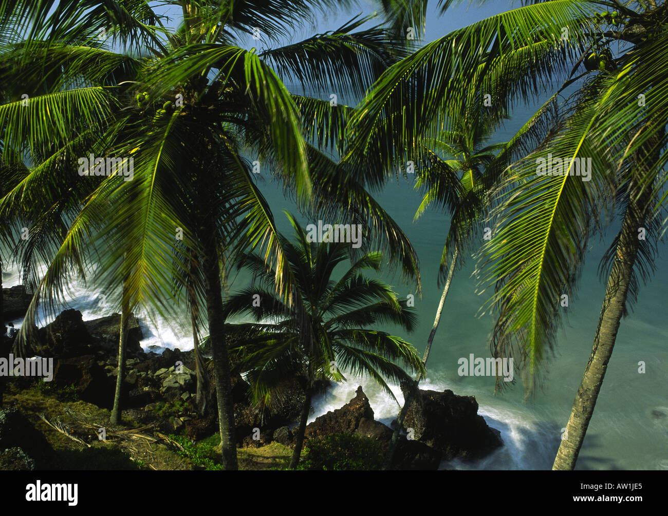 Varkala beach coast line in the State of Kerala South India Stock Photo ...