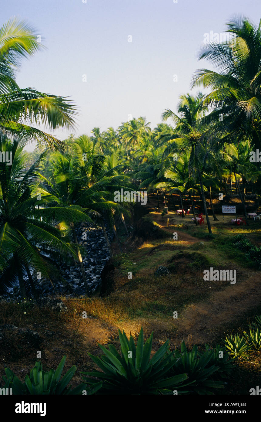Varkala beach coast line in the State of Kerala South India Stock Photo ...