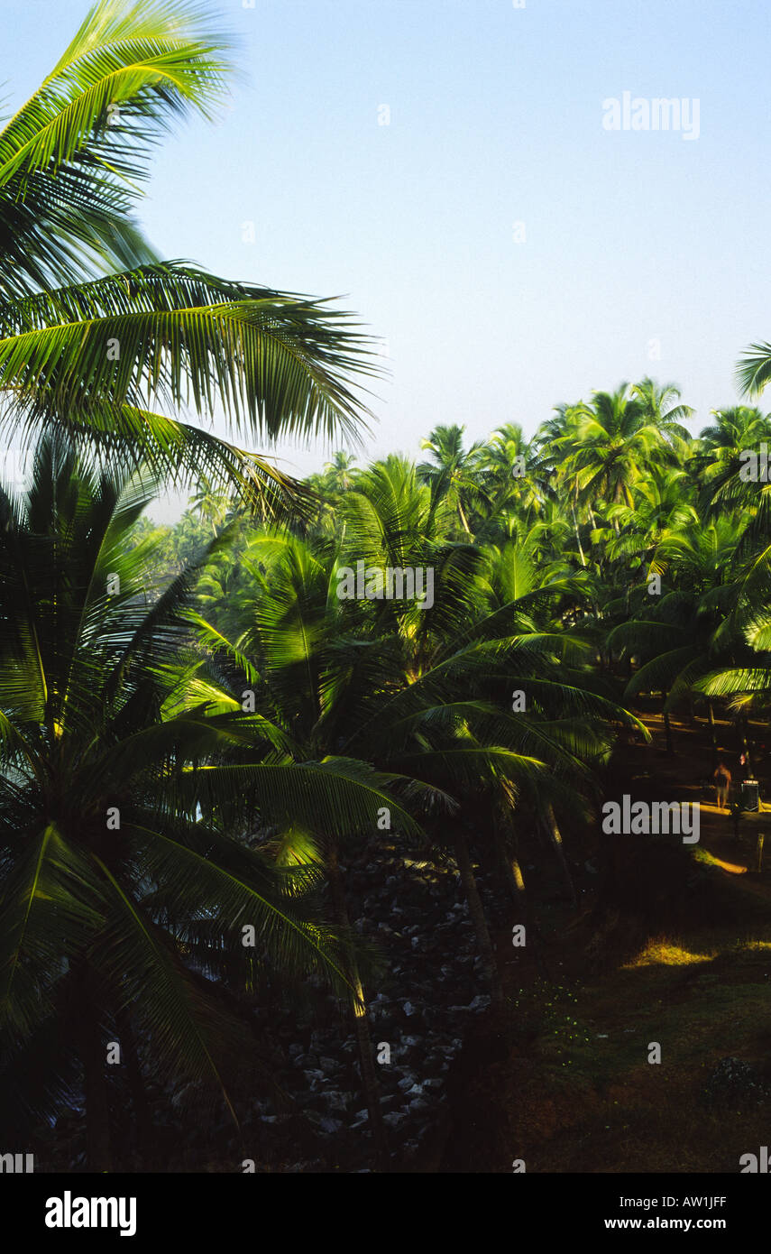 Varkala beach coast line in the State of Kerala South India Stock Photo ...