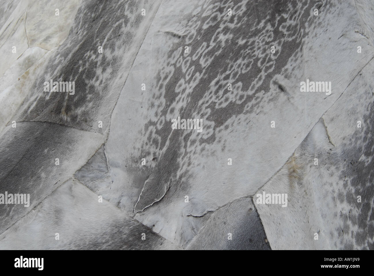 Traditional tent made with ring seal skin and fur Coastal Inuit ...