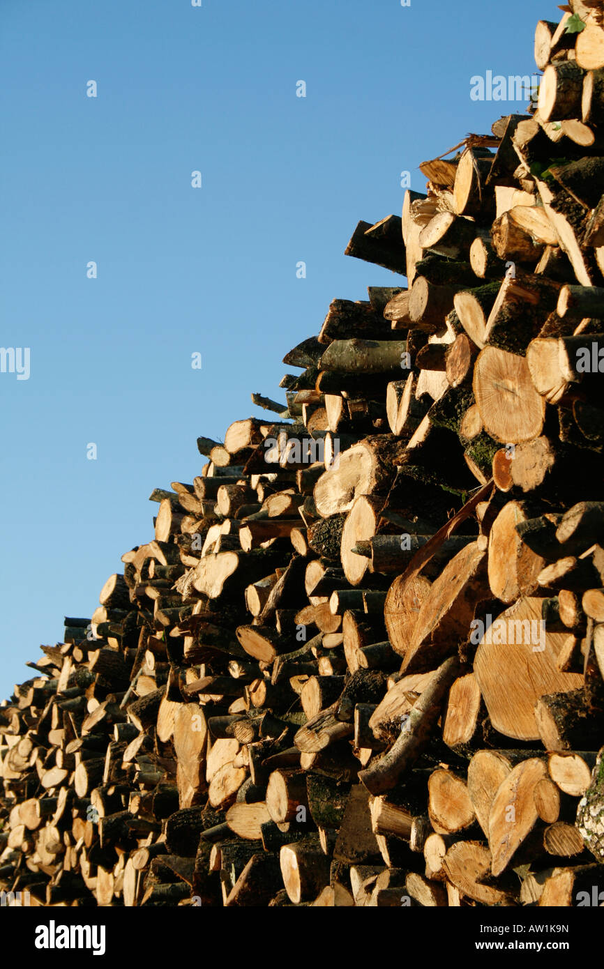 pile of wooden logs Stock Photo - Alamy