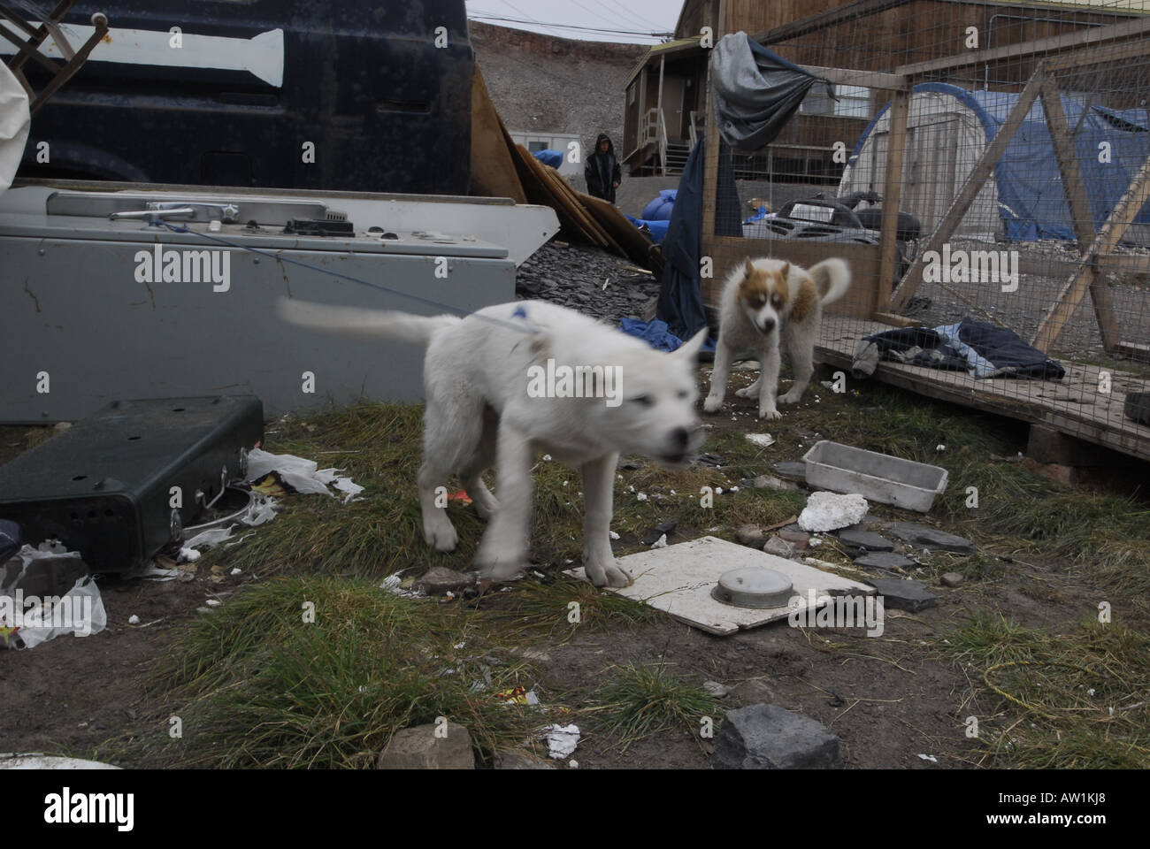 Inuit home Coastal Inuit community of Arctic Bay Lancaster Sound HIgh ...