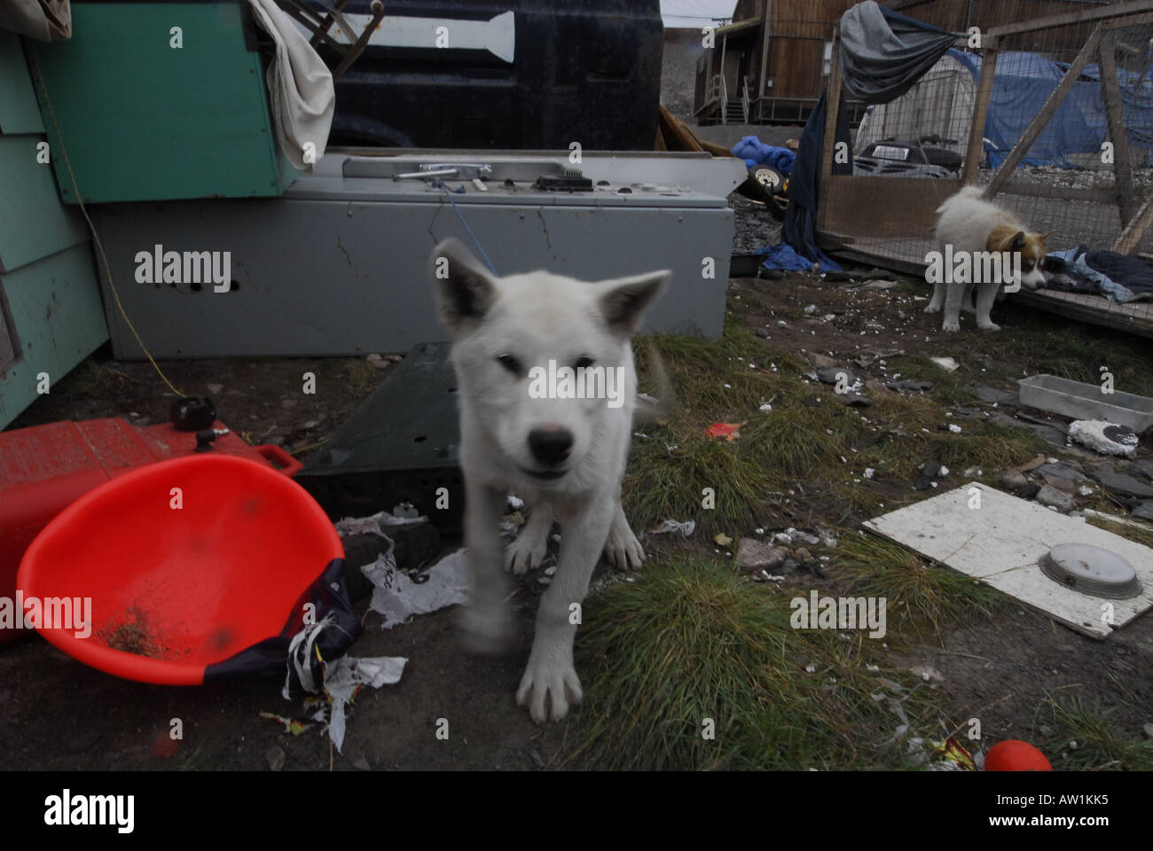 Inuit home Coastal Inuit community of Arctic Bay Lancaster Sound HIgh ...