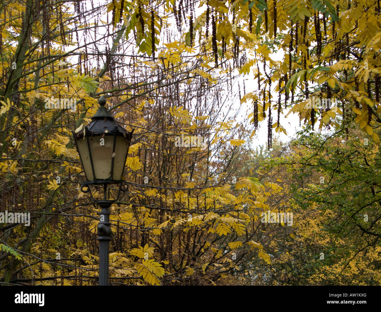Street lamp and part of town park during autumn Stock Photo - Alamy