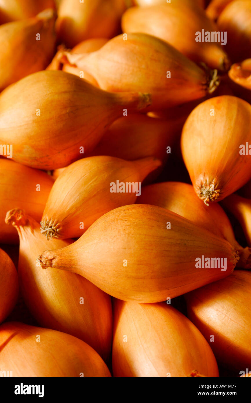 Sturon onions hi-res stock photography and images - Alamy