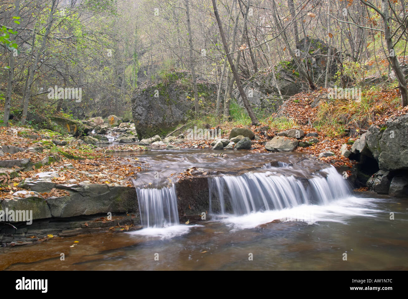 Mountain brook in autumn Perino valley Italy Stock Photo - Alamy