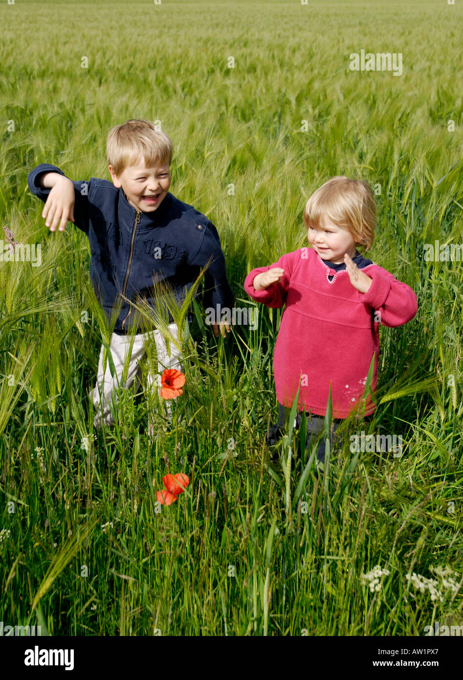 Children playing in grain field Stock Photo - Alamy