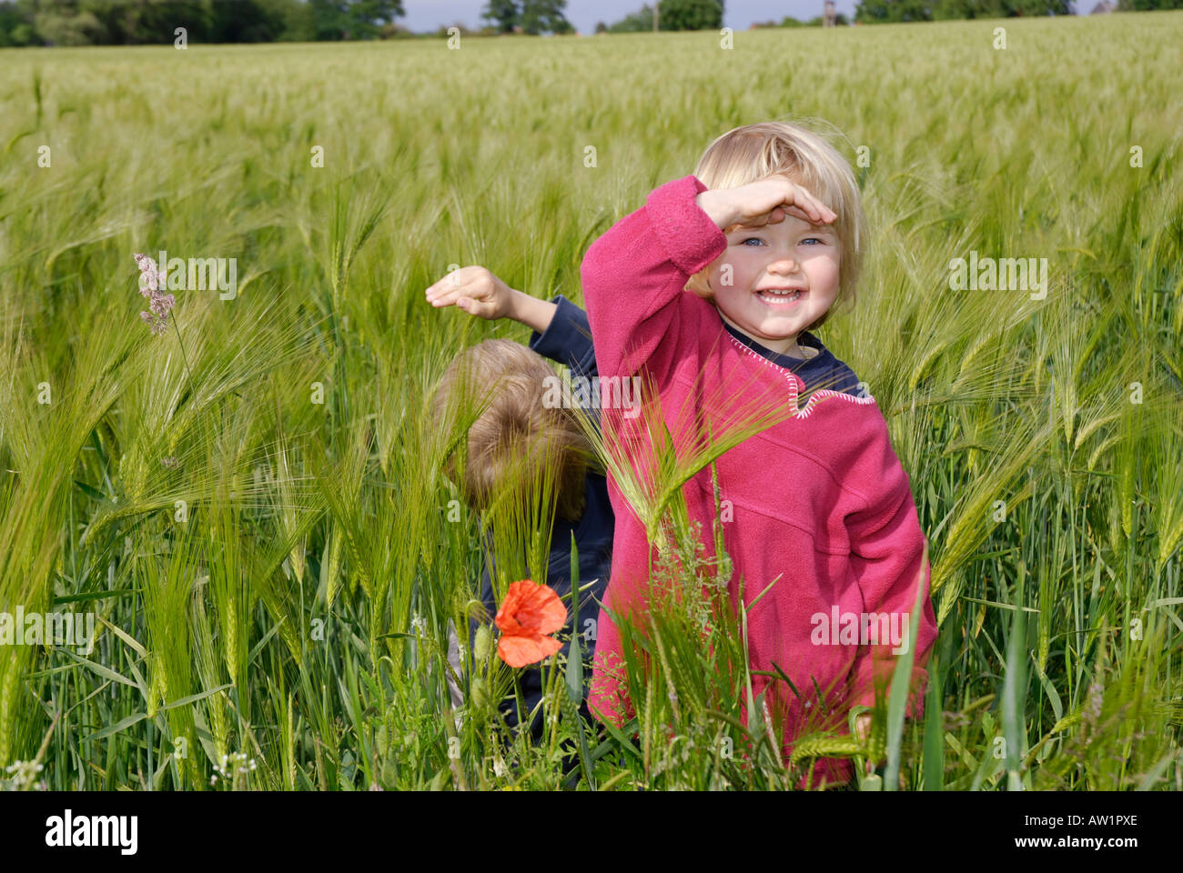 Children playing in grain field Stock Photo - Alamy