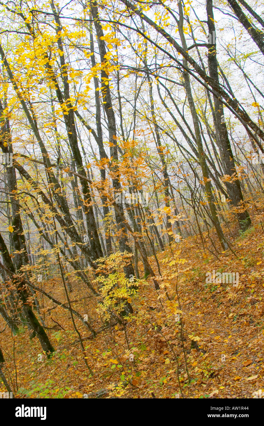 Perino valley hi-res stock photography and images - Alamy