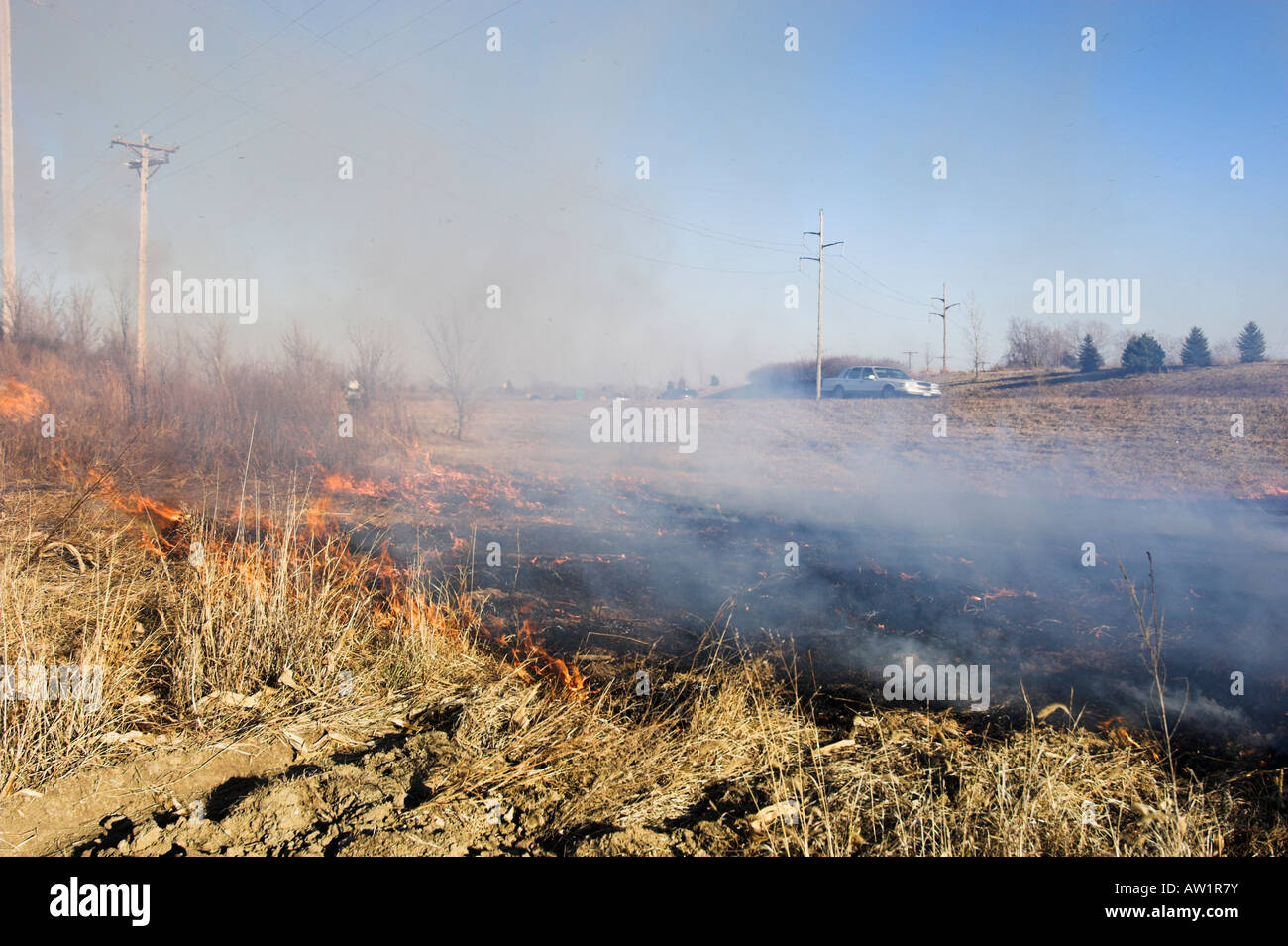 A grass fire burning through dry grass Stock Photo - Alamy