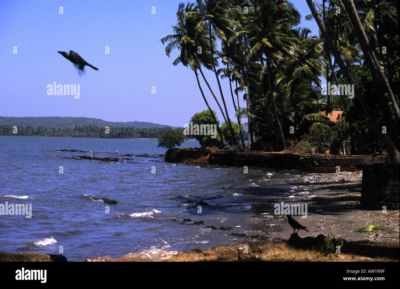 Chapora coastline in Goa South India Stock Photo - Alamy