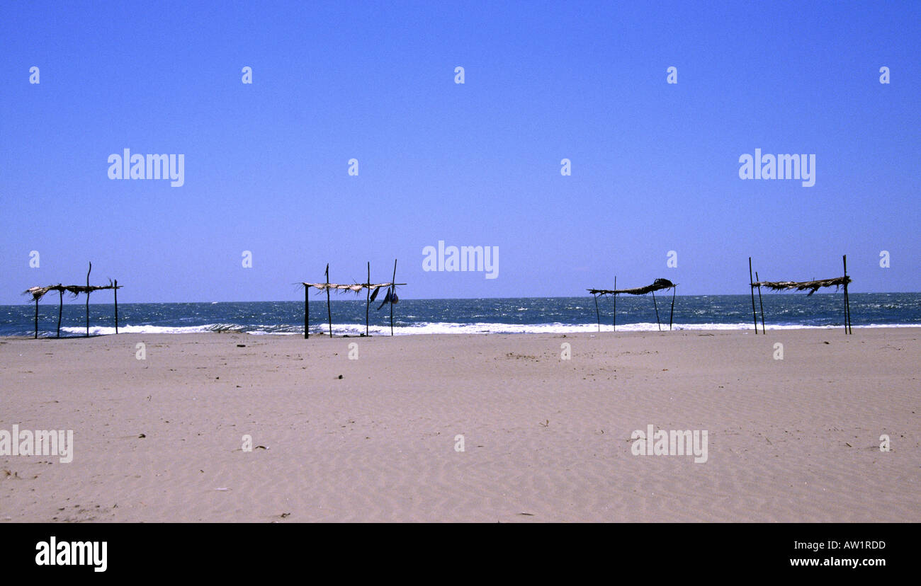 morgim or morji beach in north goa Stock Photo - Alamy