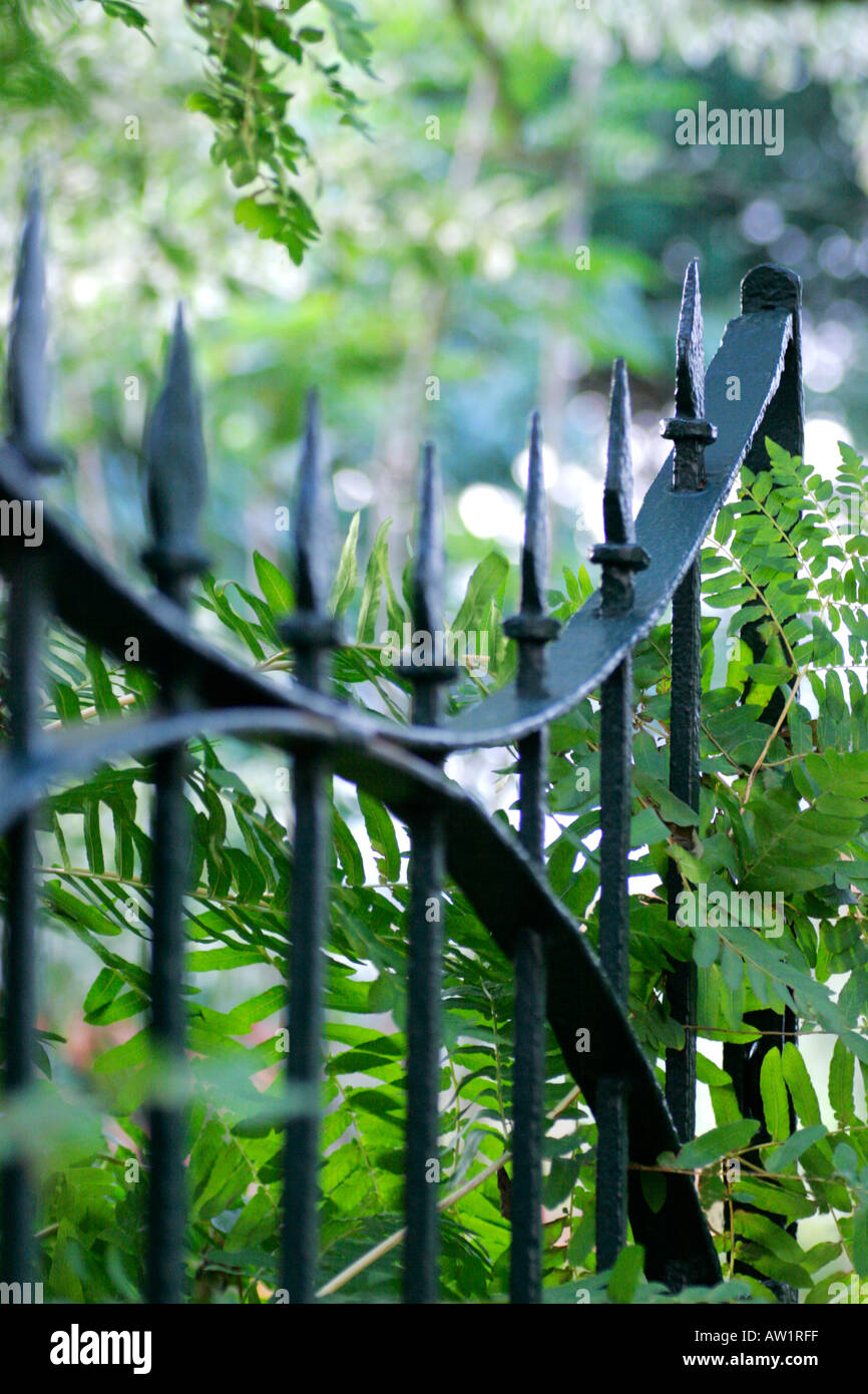 Old iron garden gate with plants growing through it Stock Photo - Alamy