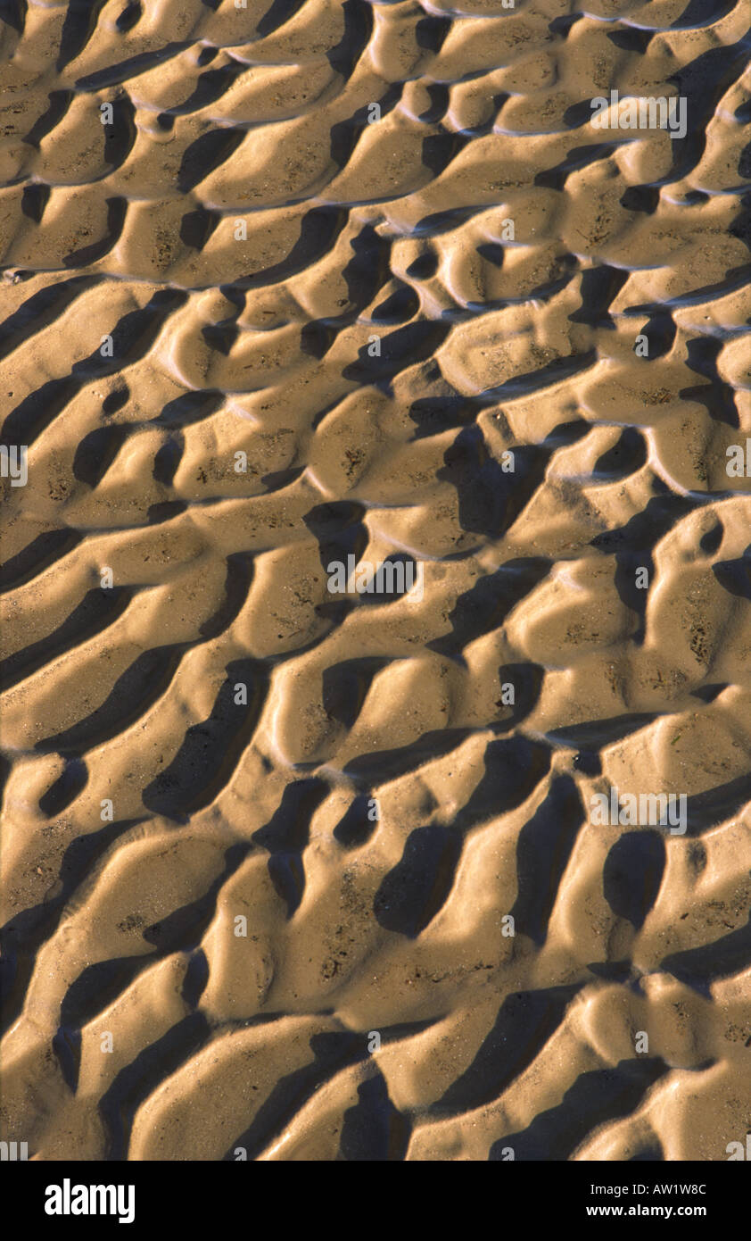 Ripples in the sand Stock Photo - Alamy