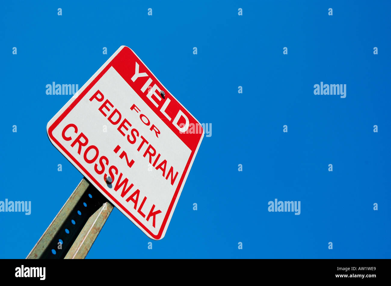 Yield for Pedestrians in Crosswalk sign on road Stock Photo - Alamy