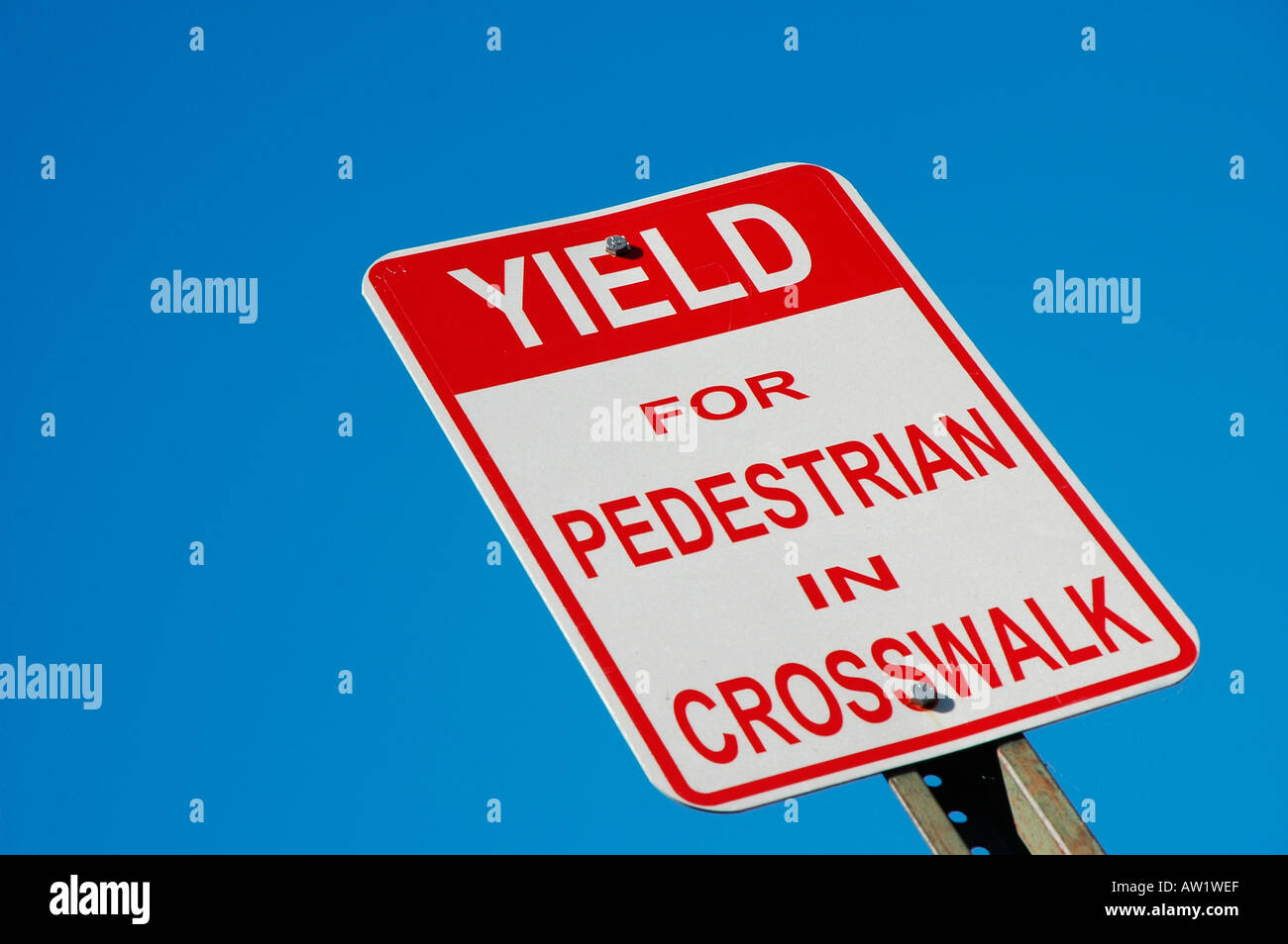 Yield for Pedestrians in Crosswalk sign on road Stock Photo - Alamy