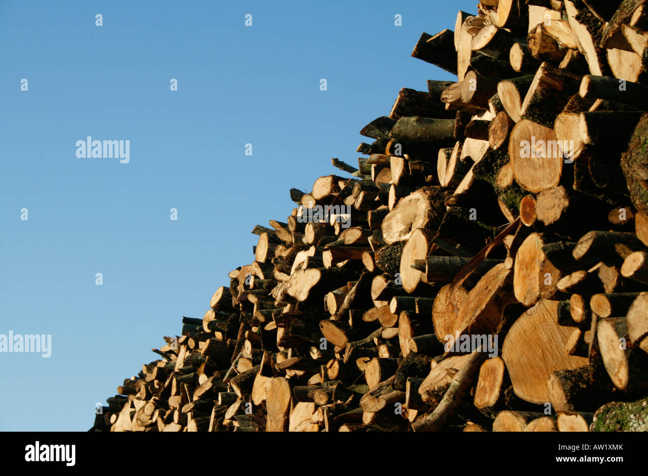 pile of wooden logs Stock Photo - Alamy