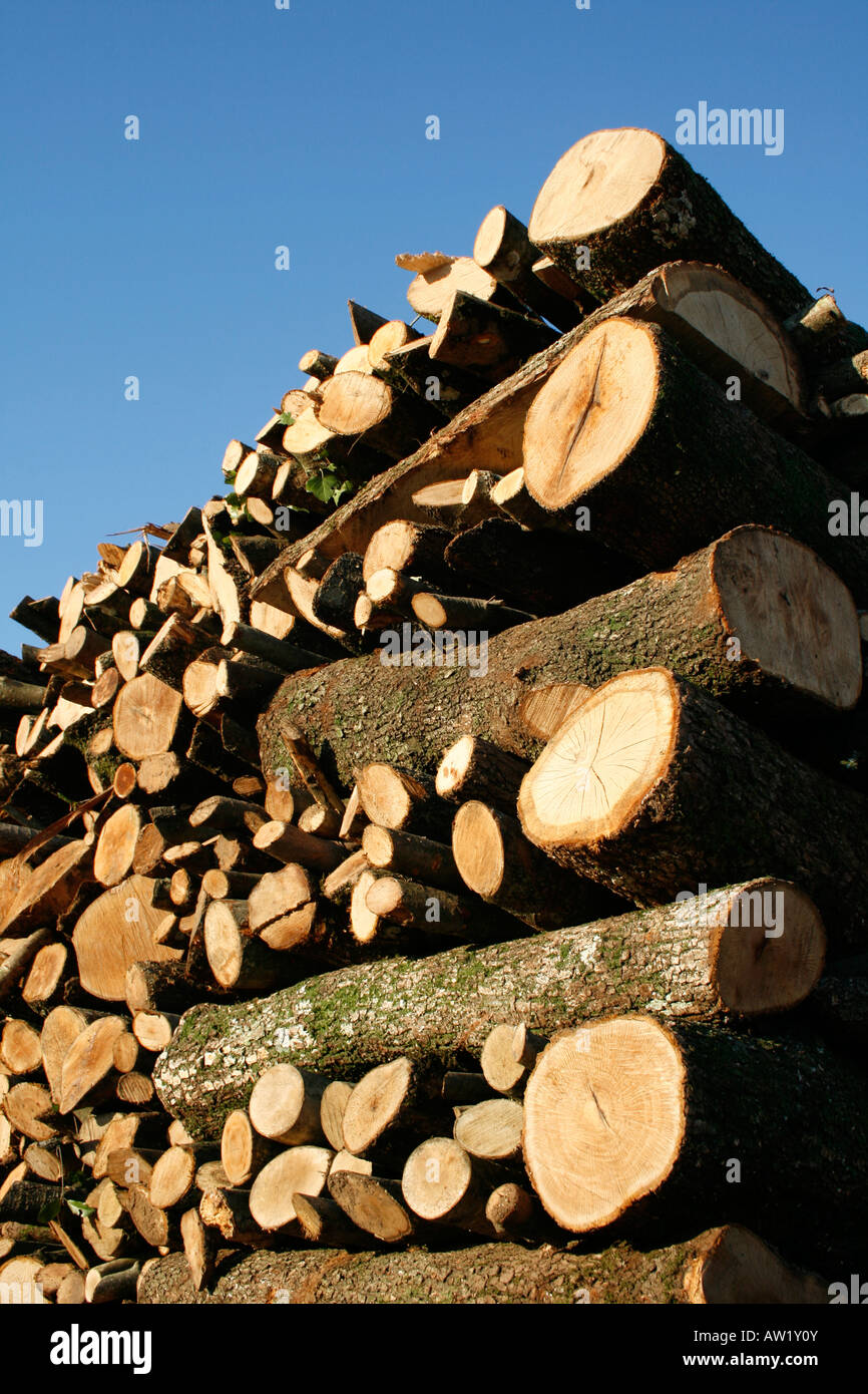 pile of wooden logs Stock Photo - Alamy