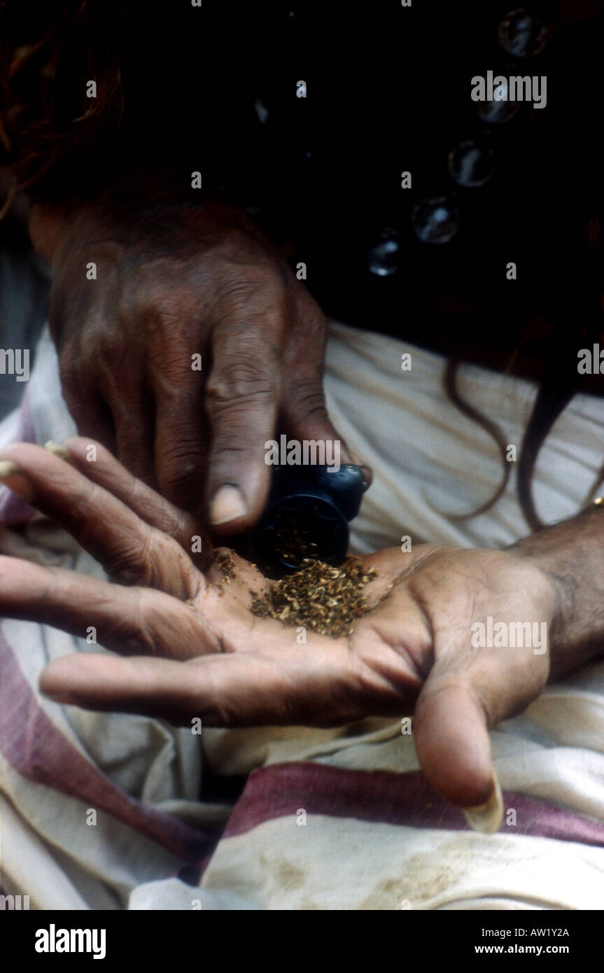 Indian pipe weed hi-res stock photography and images - Alamy