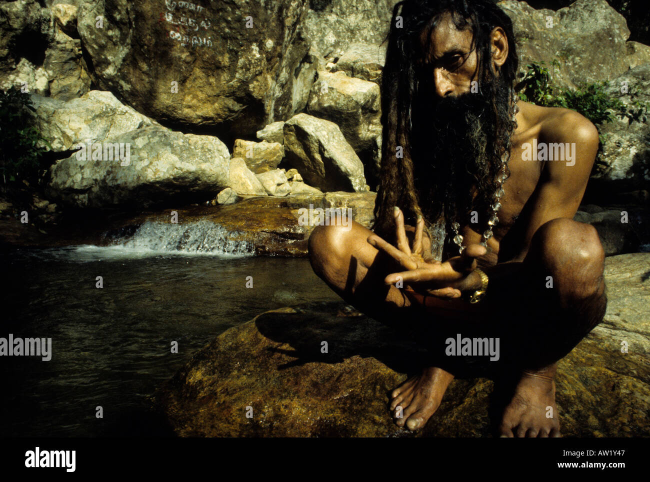 Indian pipe weed hi-res stock photography and images - Alamy