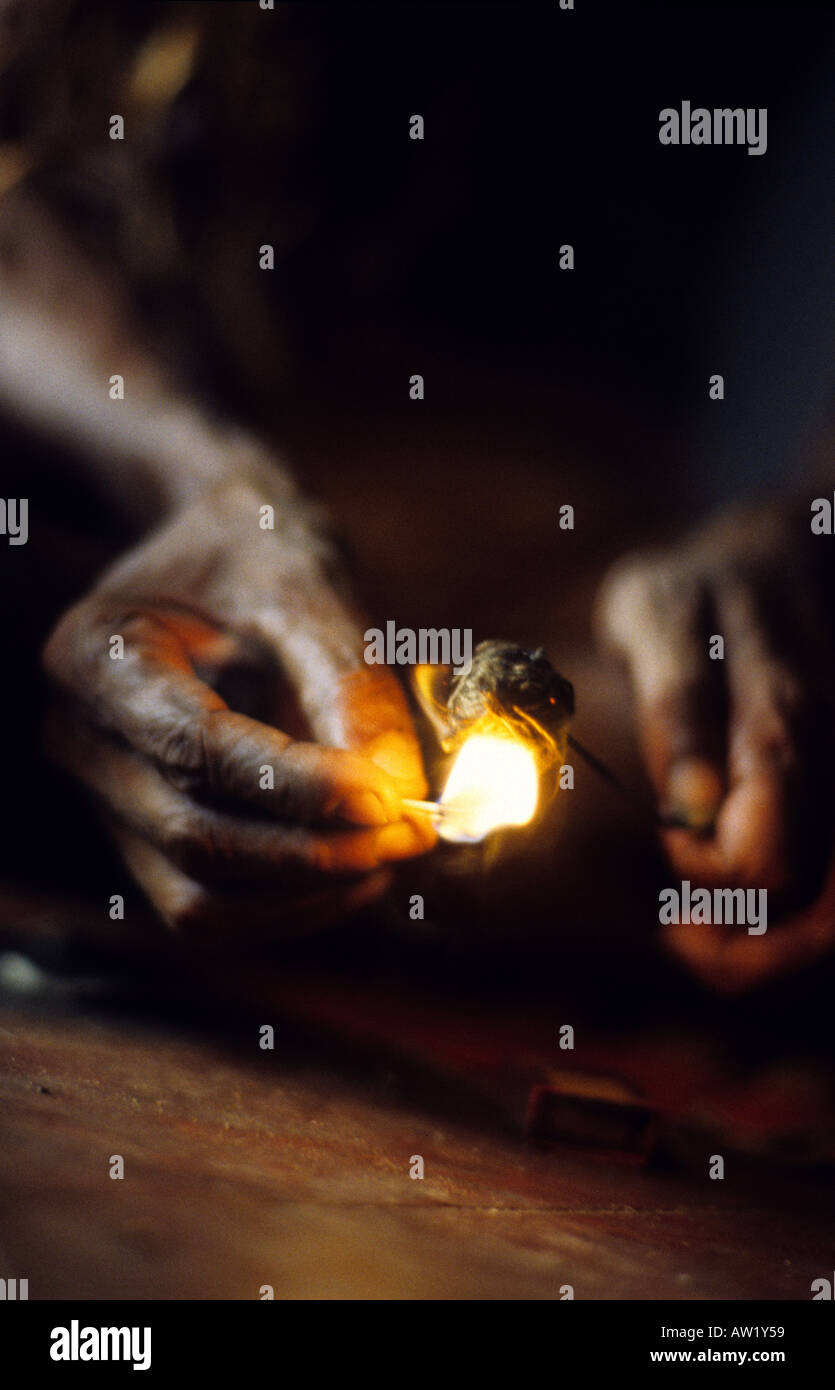 Roach pipe hi-res stock photography and images - Alamy