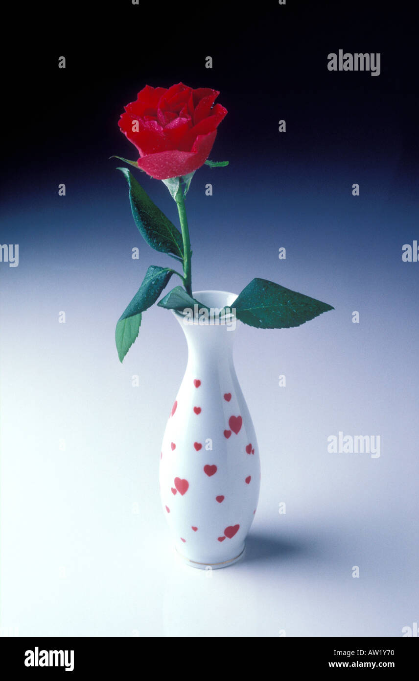 Single red rose in vase Stock Photo - Alamy