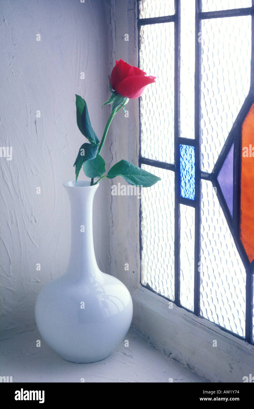Red rose in white vase near stain glass window Stock Photo - Alamy