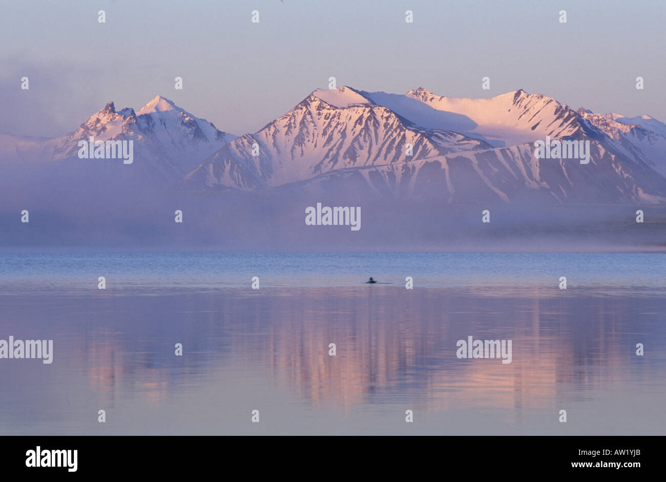 Southern Altai, Plateau Ukok, Russia Stock Photo - Alamy