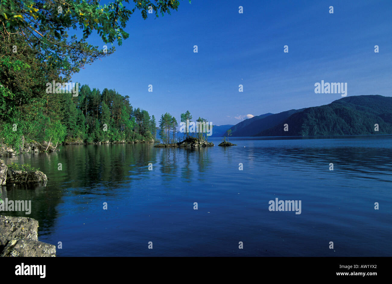 Altai, Teletskoe Lake, Altaiskiy National Park. Russia Stock Photo - Alamy
